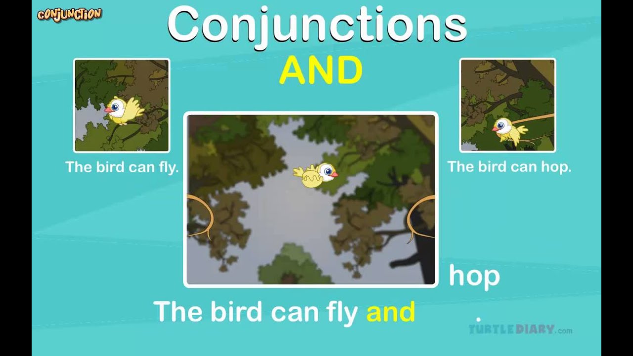 Learn About Conjuctions And But Turtlediary Youtube
