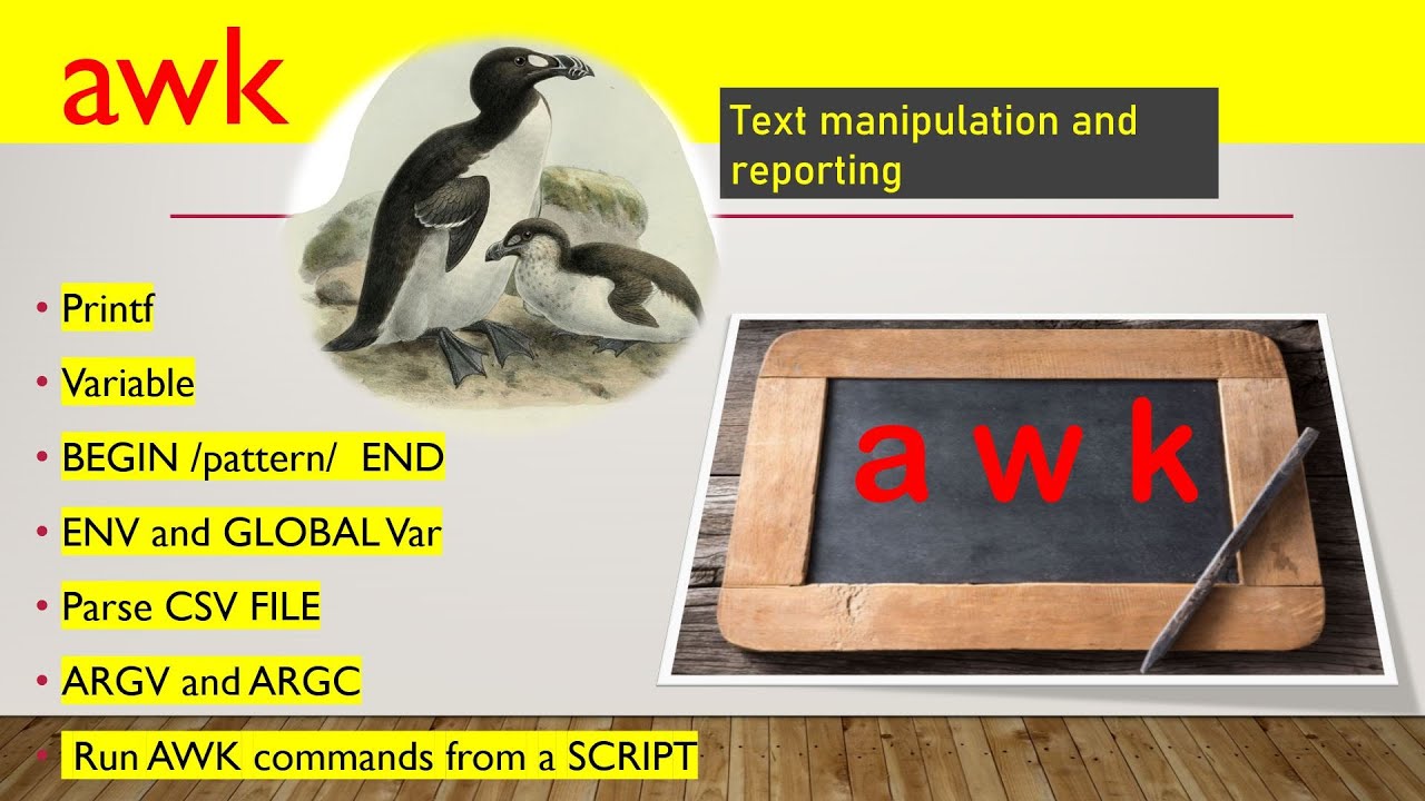 Linux 3 Awk Tutorial Part 1 Youtube