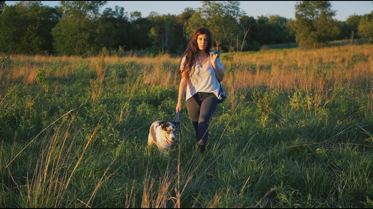 The Return Of Roaming Reckless Youtube