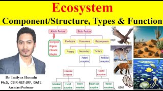 Ecosystem Structure And Functions Ecosystem Structure Doovi
