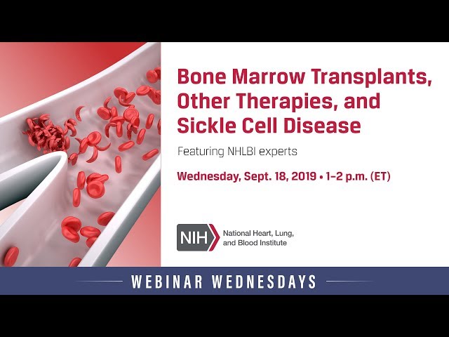 Bone Marrow Transplant For Sickle Cell Anemia