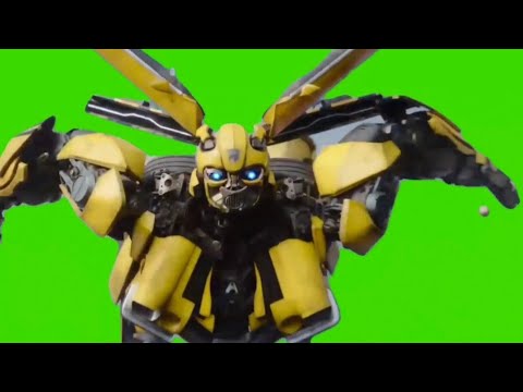 Bumblebee Green Screen Youtube