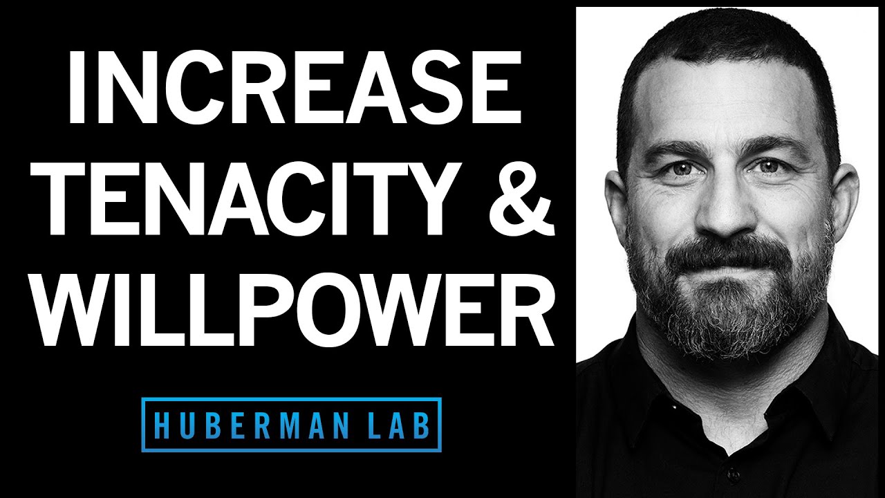 How To Increase Your Willpower Tenacity Huberman Lab Podcast