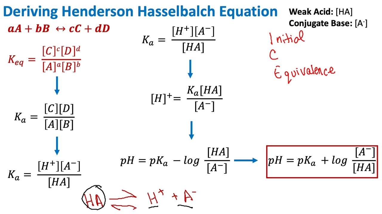Henderson Hasselbalch Equation How To Derive Henderson Hasselbalch