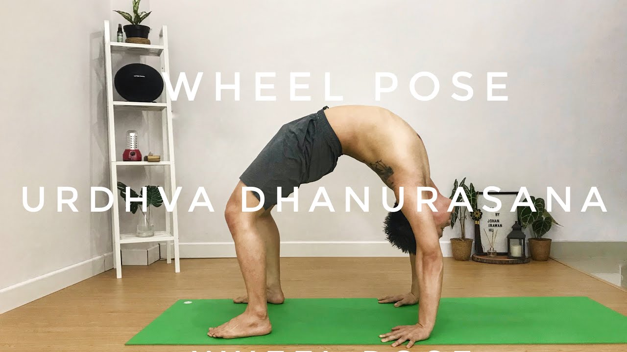 Wheel Pose Urdhva Dhanurasana Backbend Yoga Tutorial Youtube
