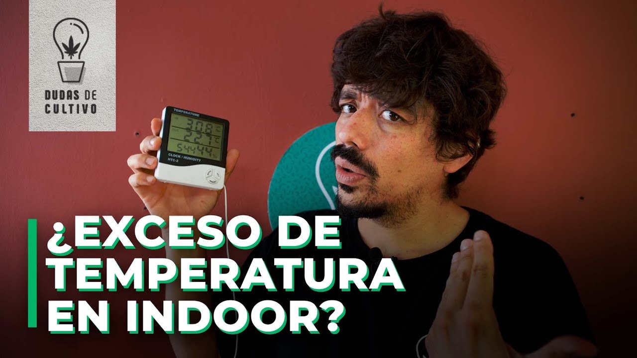 Cultivo En Volá