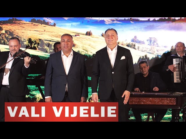 Vali Vijelie & Sandu Vijelie - Cea mai mare bucurie 2023