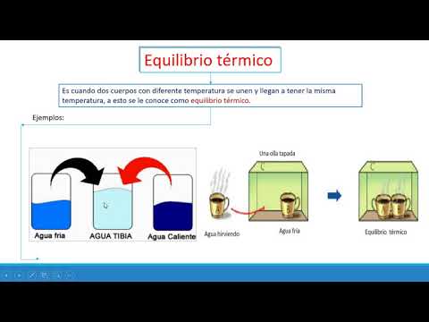 Equilibrio Termico Youtube
