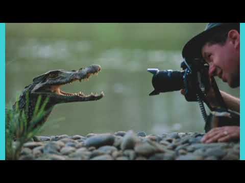 English Pathways Foundation Adventurers Youtube