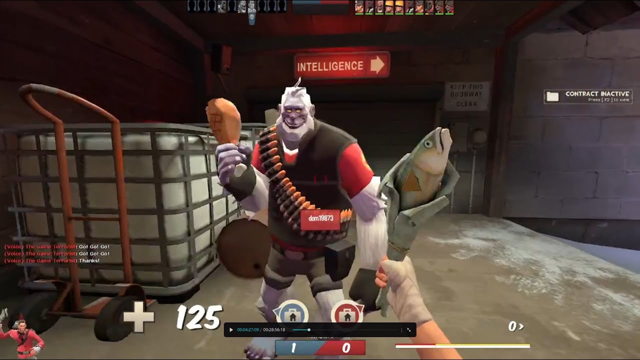 Tf2 Players Are Quite Silly Youtube