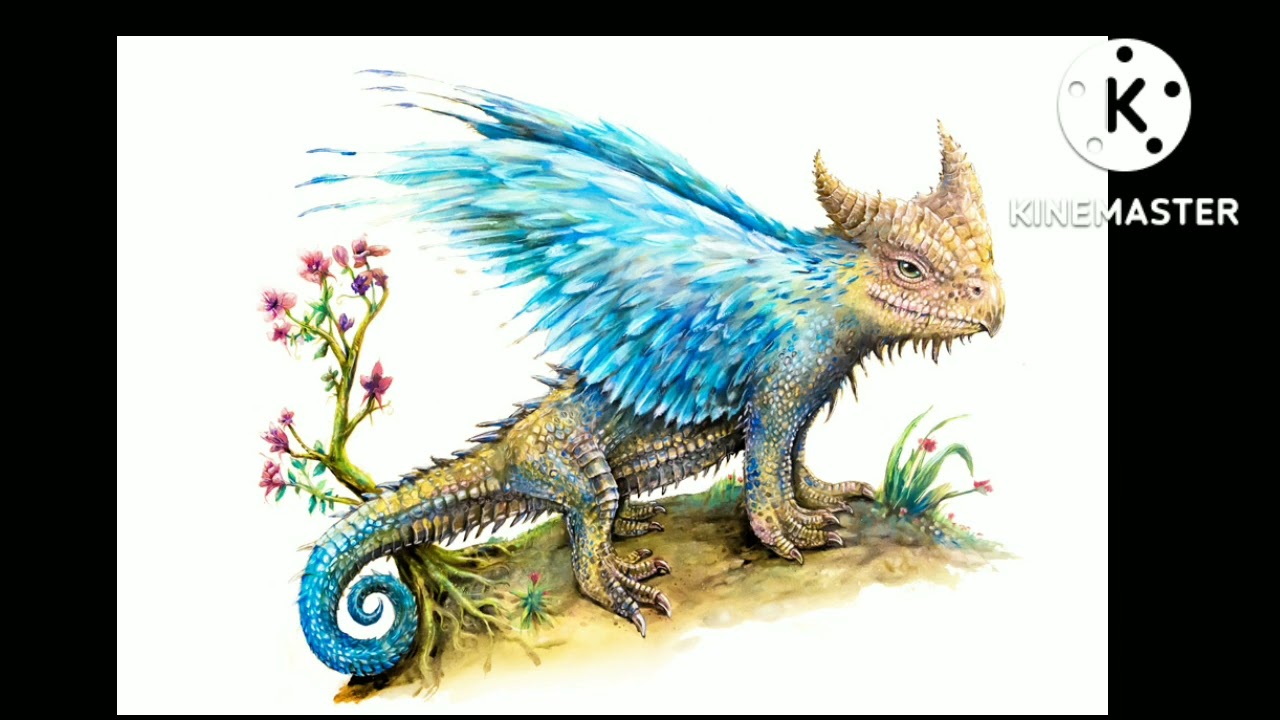 Bird Lizard Sound Effects Youtube