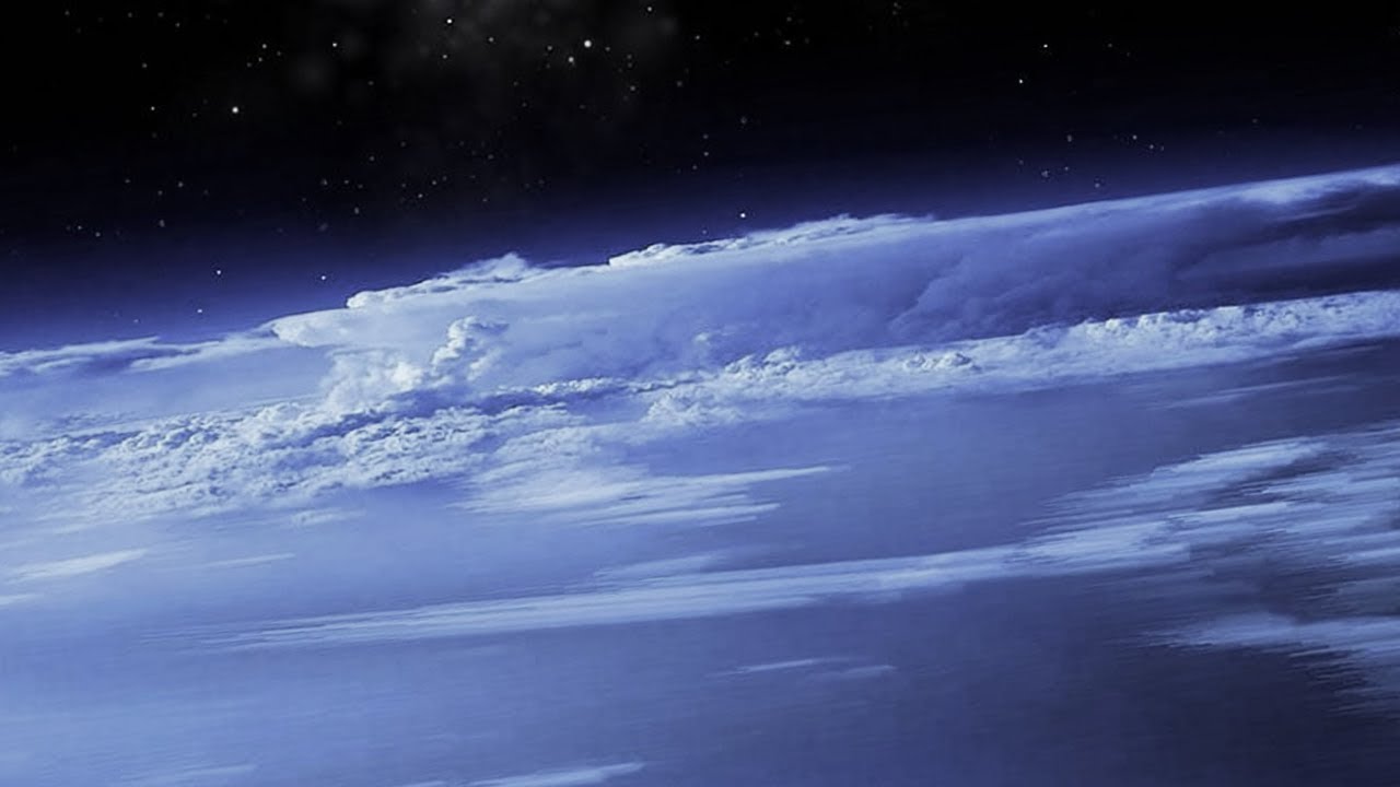 Redirecting To Https Animalia Life Club Qa Pictures Real Pictures Of