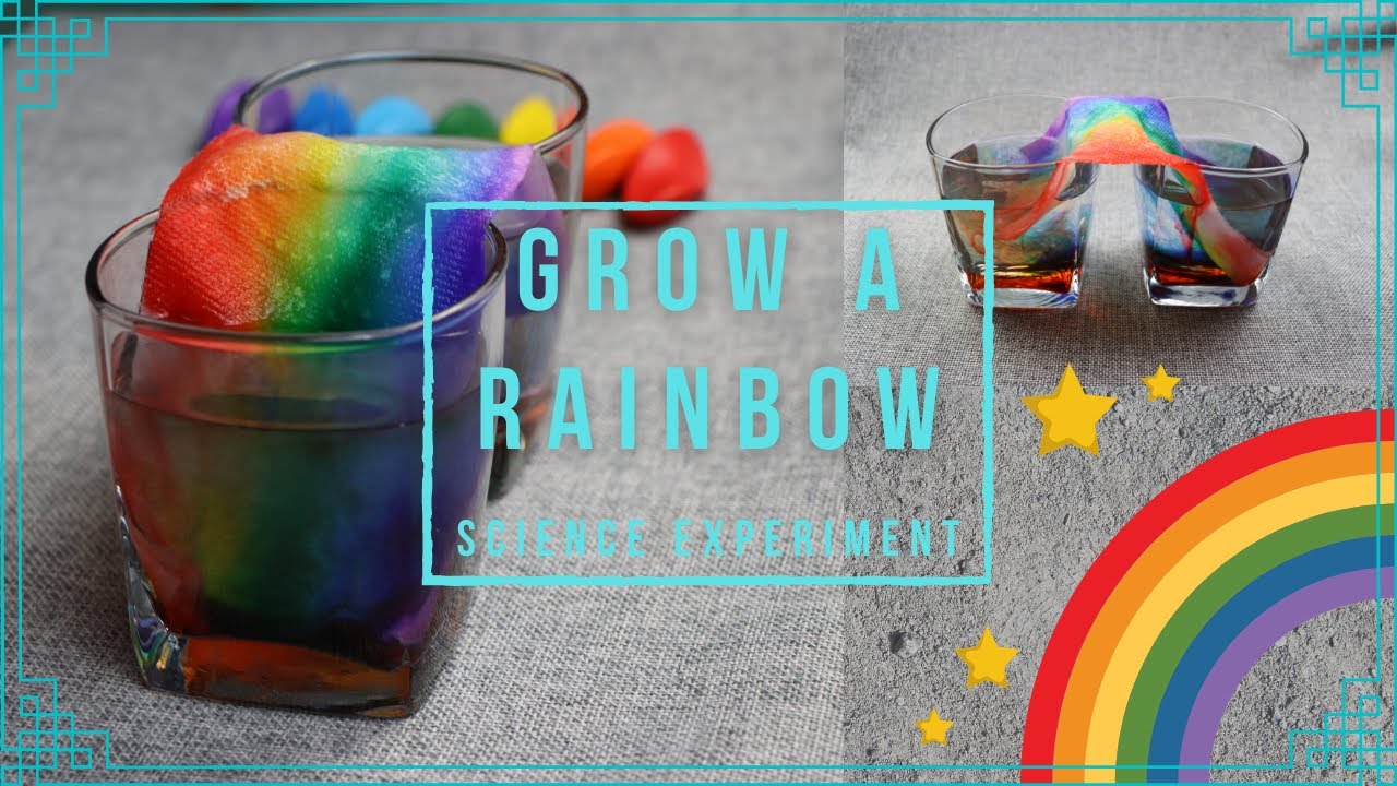 Grow A Rainbow Experiment Explanation At Ola Cahoon Blog