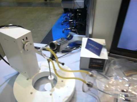 P1010797 Youtube