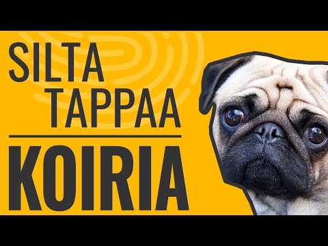 Pahojen Henkien Silta Youtube