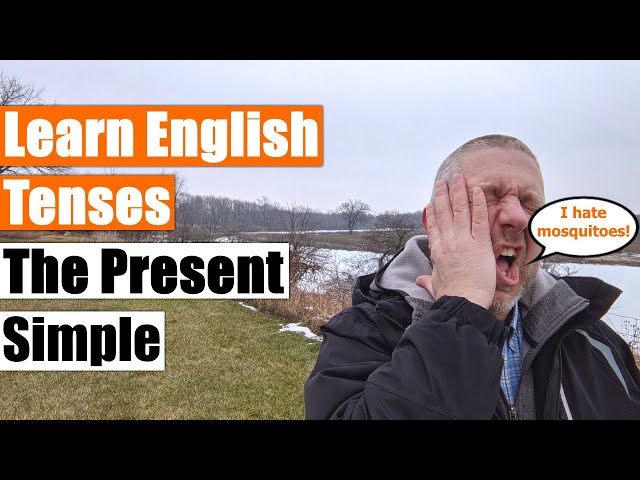 Grammar Tutorial Present Simple Te English Esl Video Lessons