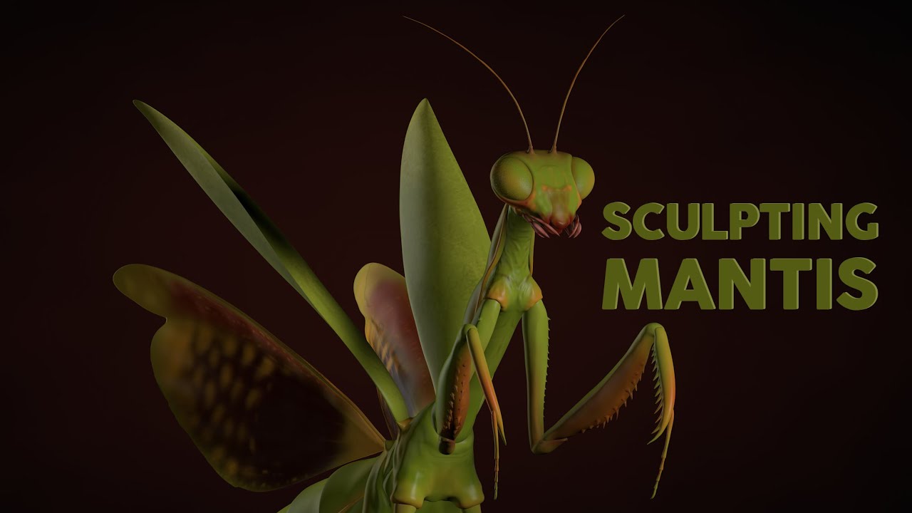 Sculpting Praying Mantis With Zbrush Timelapse Youtube