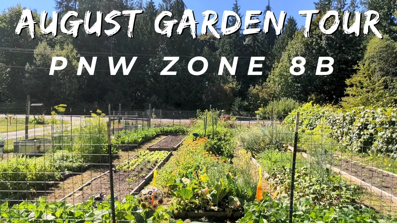 August Garden Tour Pacific Northwest Zone 8b Youtube