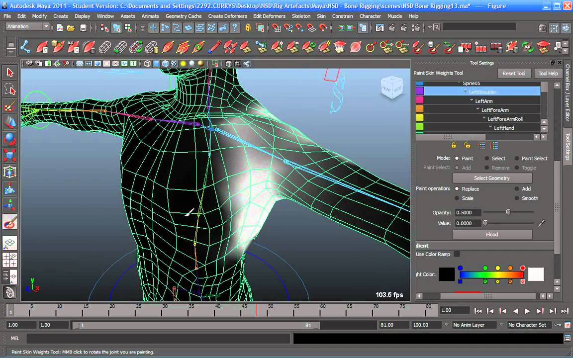 Maya Paint Weights Youtube