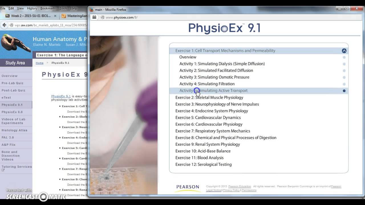 Physioex Lab 2 Youtube
