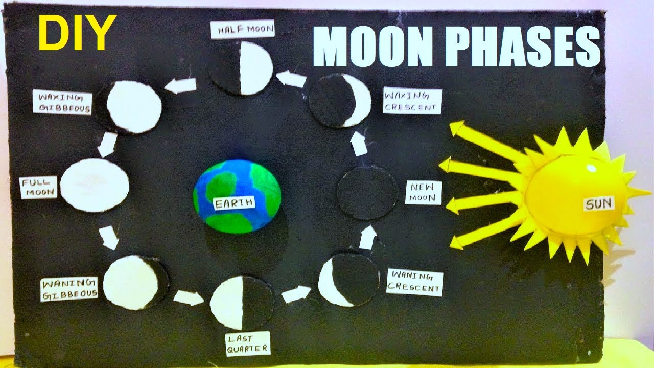 Moon Phases Model Making Using Cardboard And Waste Materials Science