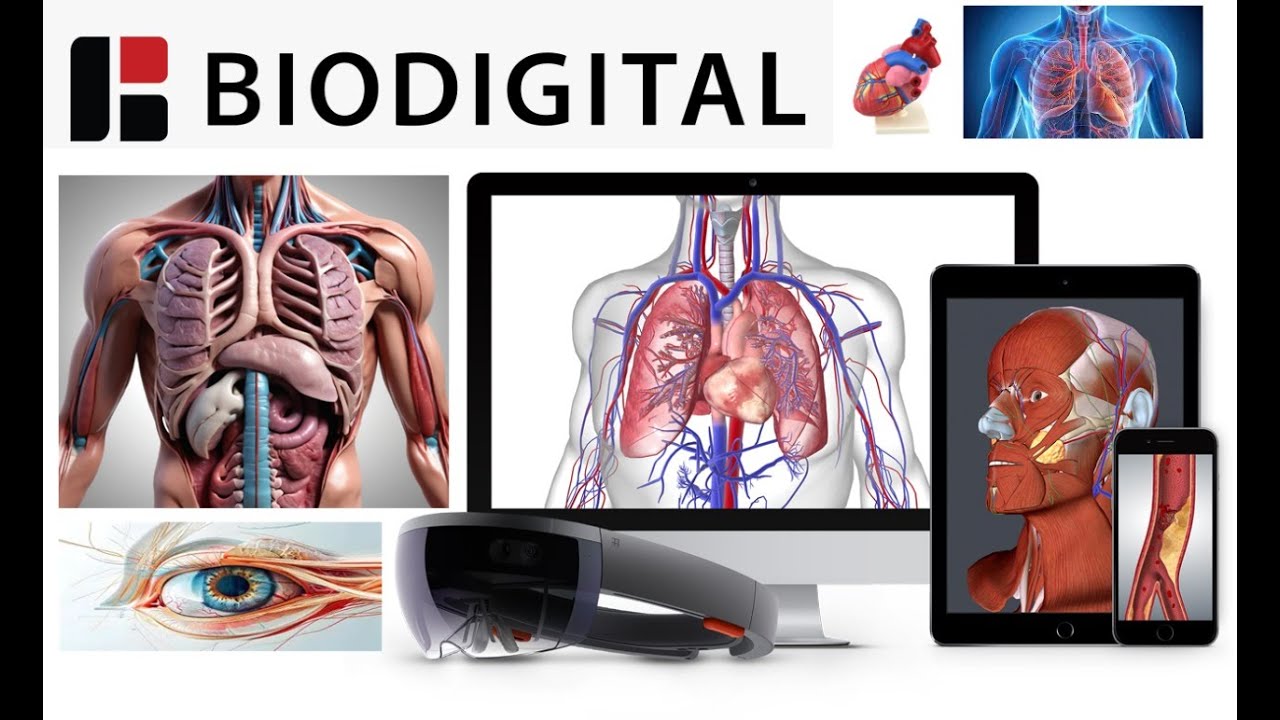 Powering The World S Understanding The Human Body The Biodigital Human