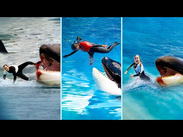Daniel Dukes Tilikum
