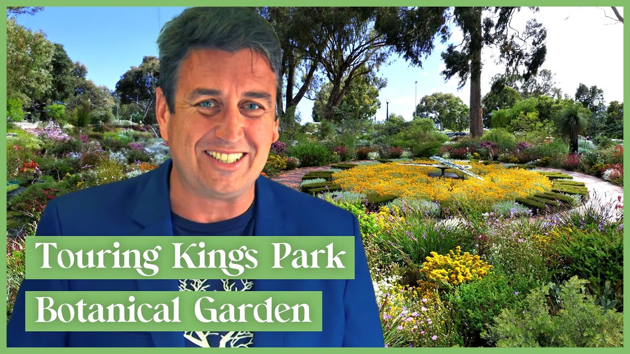 You Won T Believe This Botanical Garden Is Real Exclusive Tour Youtube