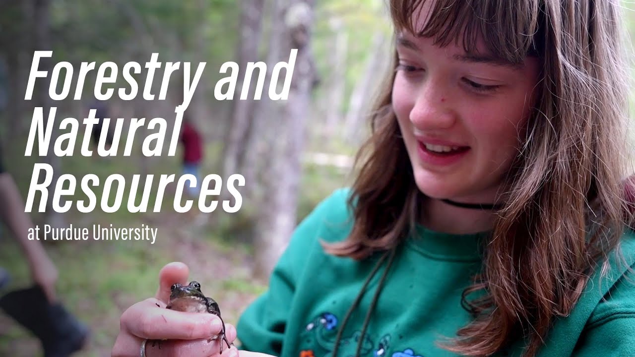 Forestry And Natural Resources Explore The Possibilities In Purdue