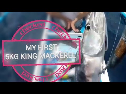 King Mackerel 5kg Vertical Jigging Deep Drop Fishing Youtube