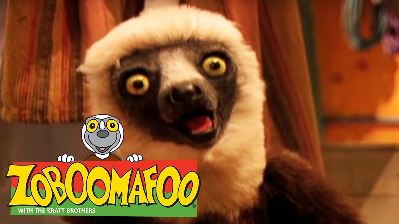 Zoboomafoo Episodes