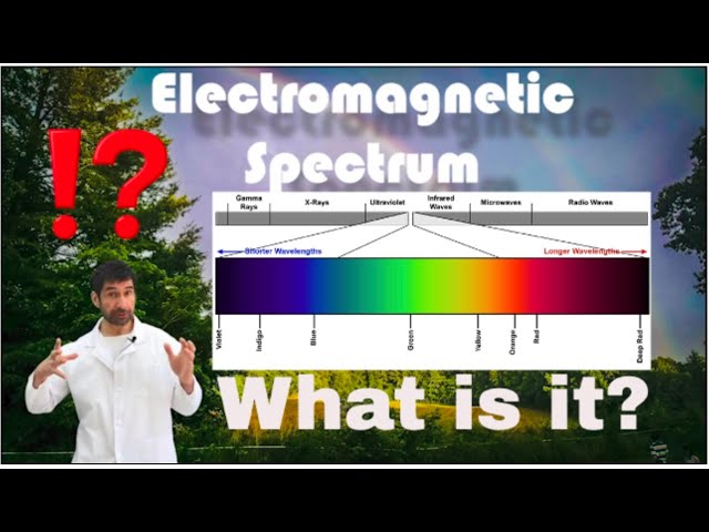 Electromagnetic Spectrum Facts For Kids Visible Light The