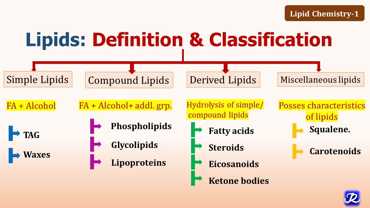 Lipids Structure Function And Classification Of Lipids Compound