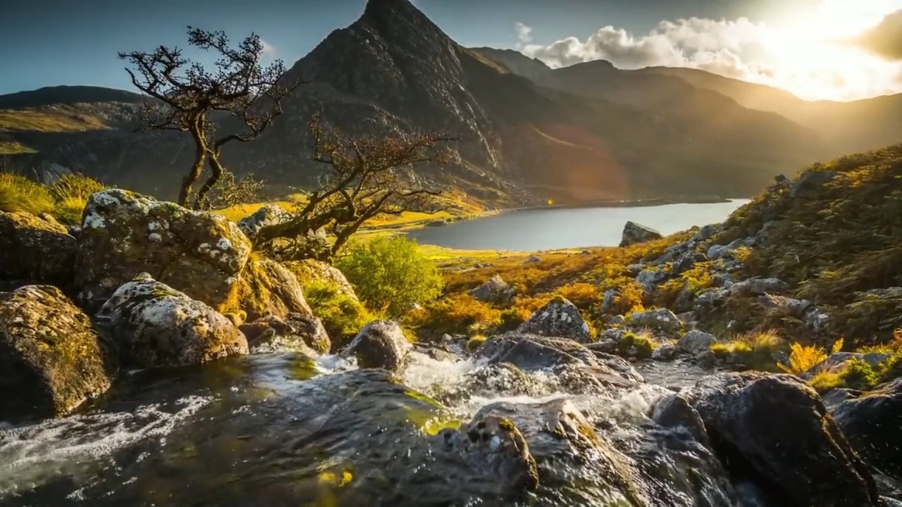 Calming Nature Scenes With Relaxing Music Youtube