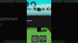 Loadstring Game Httpget Https Pastebin Com Raw Kamqh6pc Hai Anh Em Vlog