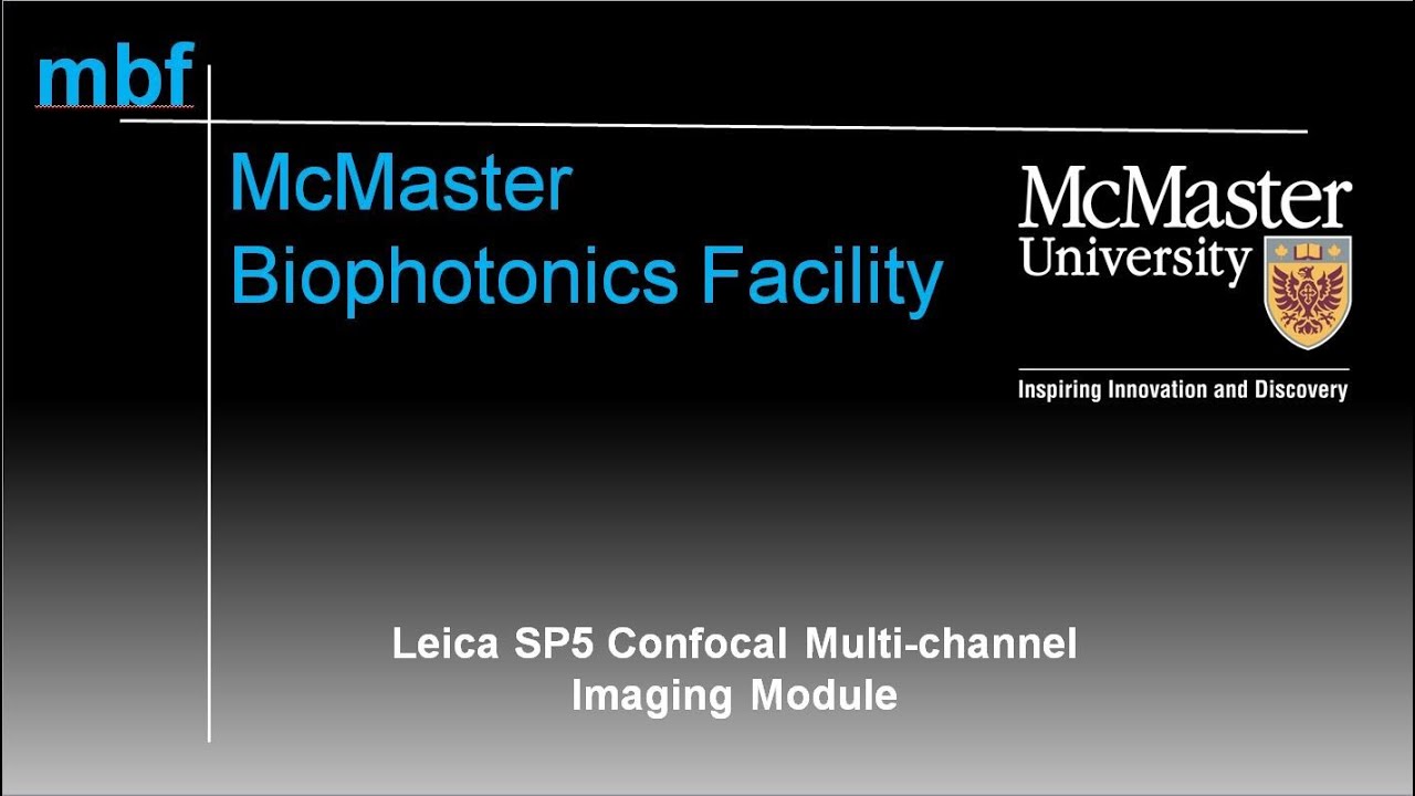 Sp5multichannelmodule Youtube