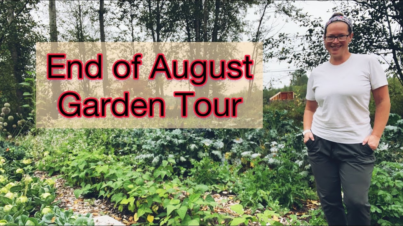 End Of August Garden Tour Pnw Zone 8b Youtube