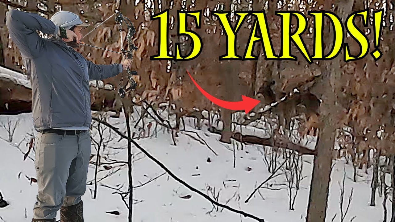Big Deer Down Late Season Archery Success Youtube