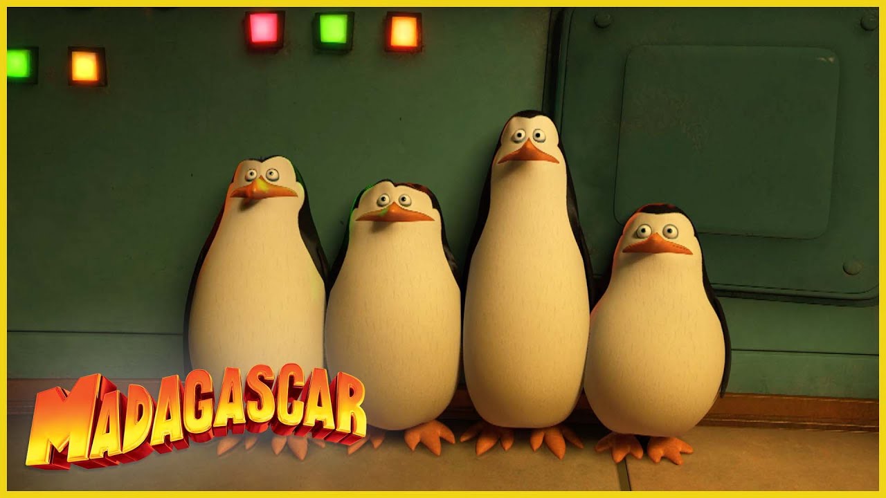Actua Normal Dreamworks Madagascar En Español Latino Youtube