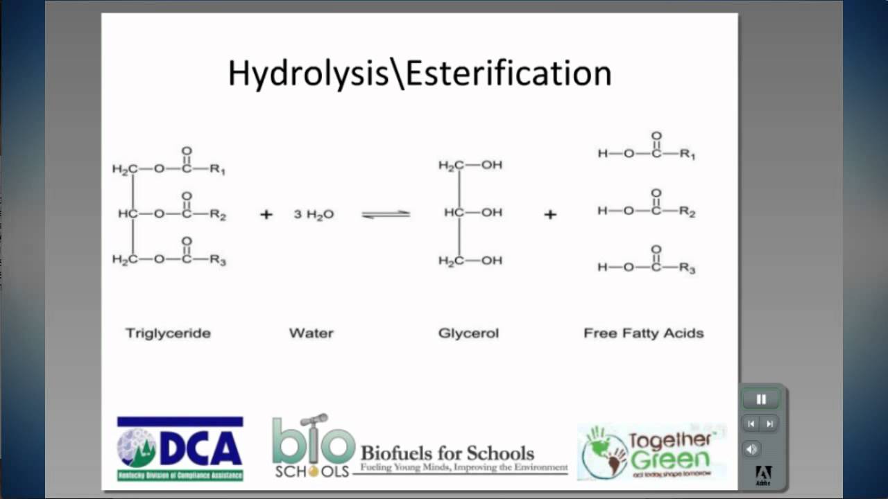Biodiesel Learning Module 2 Youtube