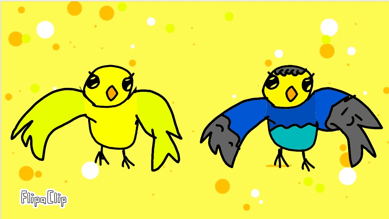 Bird Dance Meme Youtube