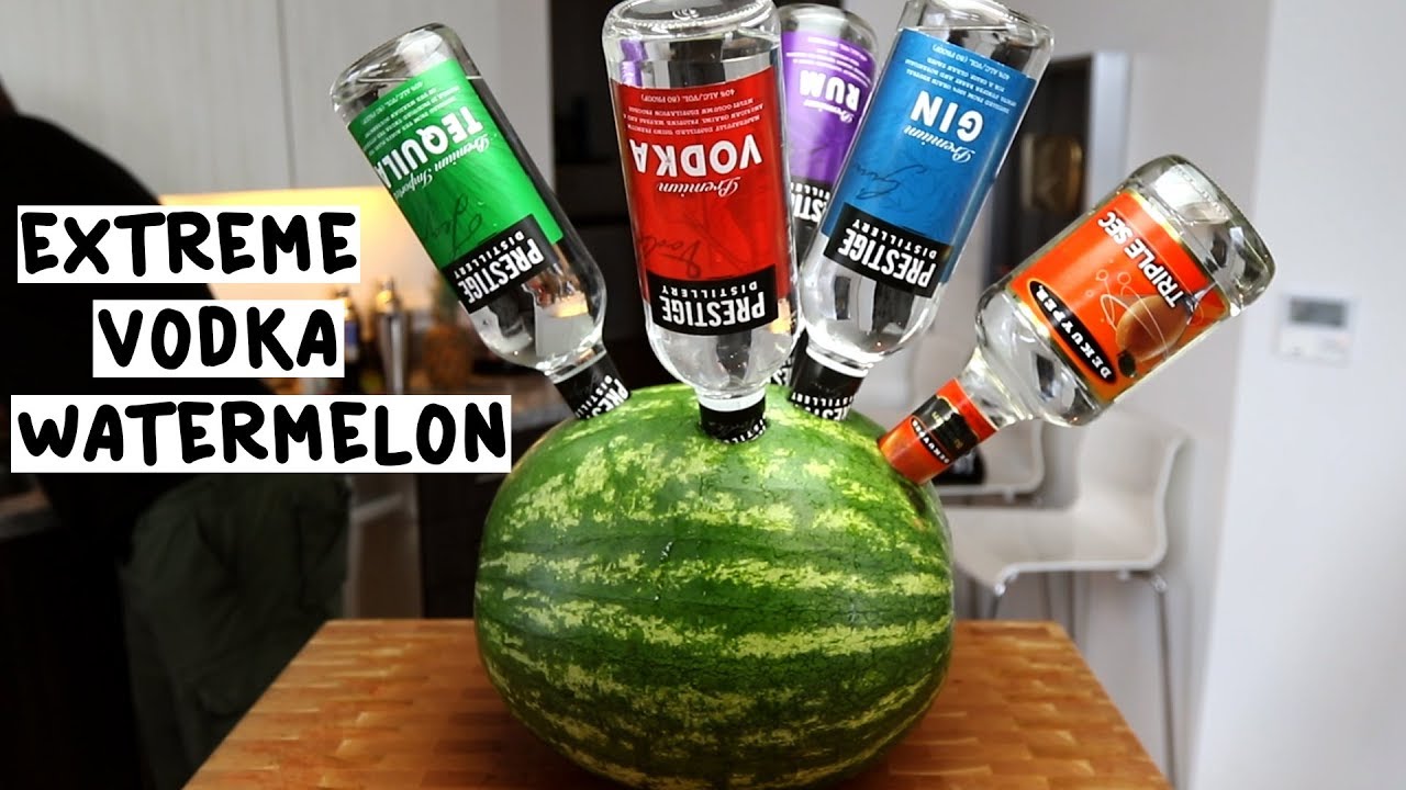 Extreme Vodka Watermelon Tipsy Bartender