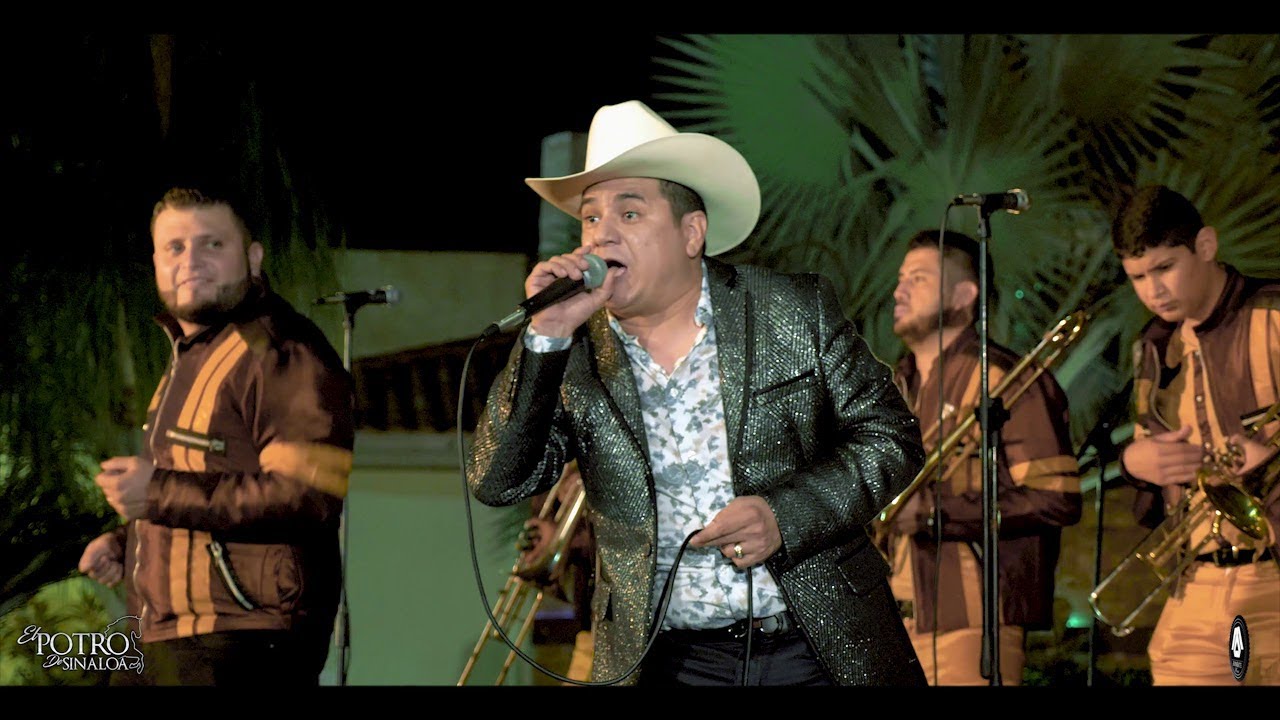 Del Potro De Sinaloa Corridos