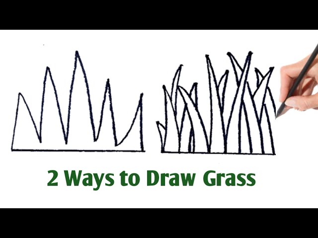 How To Draw Grass Really Easy Drawing Tutorial