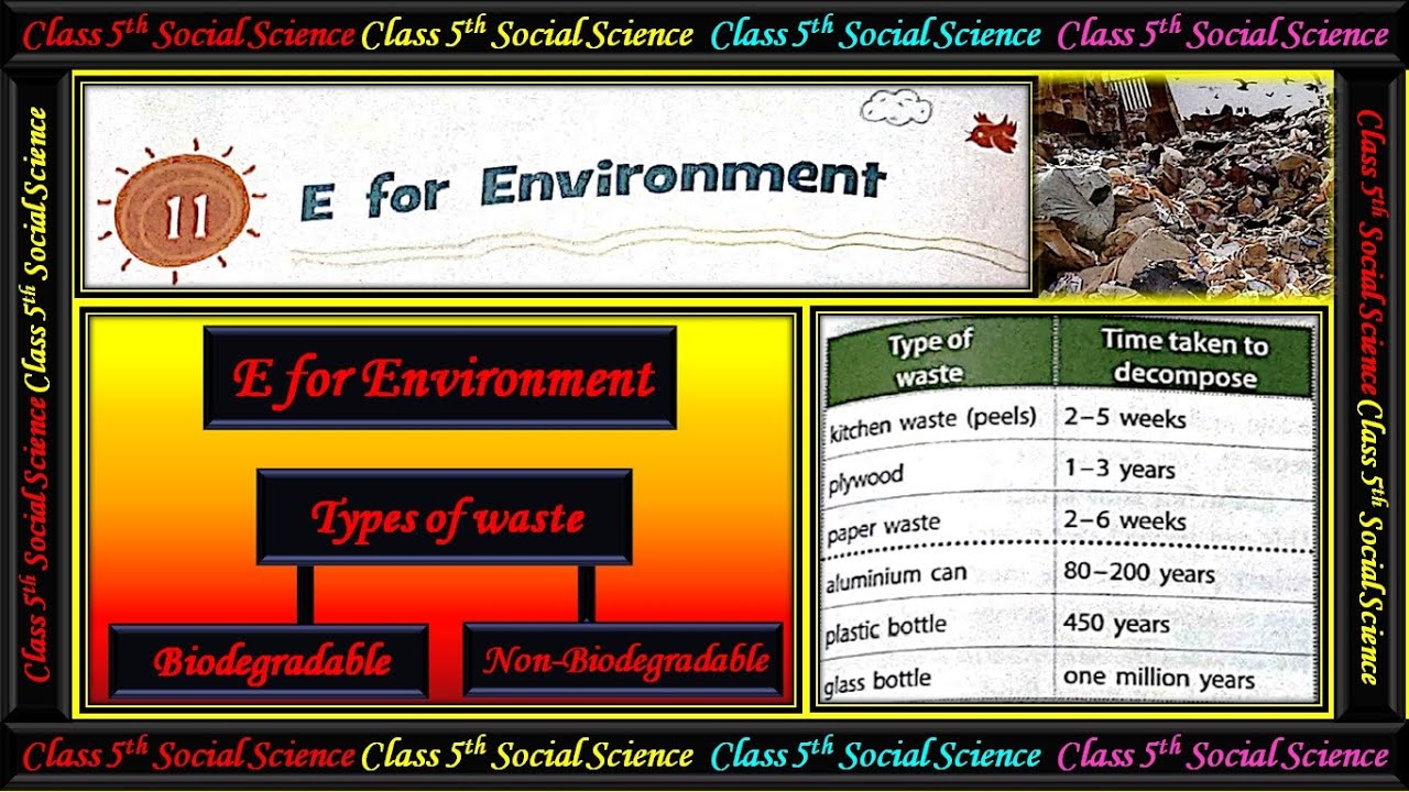Class 5 Chapter 11 E For Environment Social Science Youtube