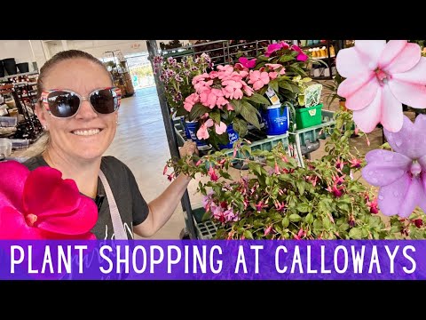 Nursery Tour At Calloway S Nursery Plant Haul рџњёрџњёрџњё Shopping For