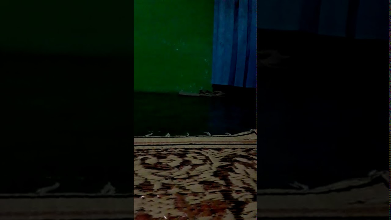 Vid 20191206 Wa0002 Youtube