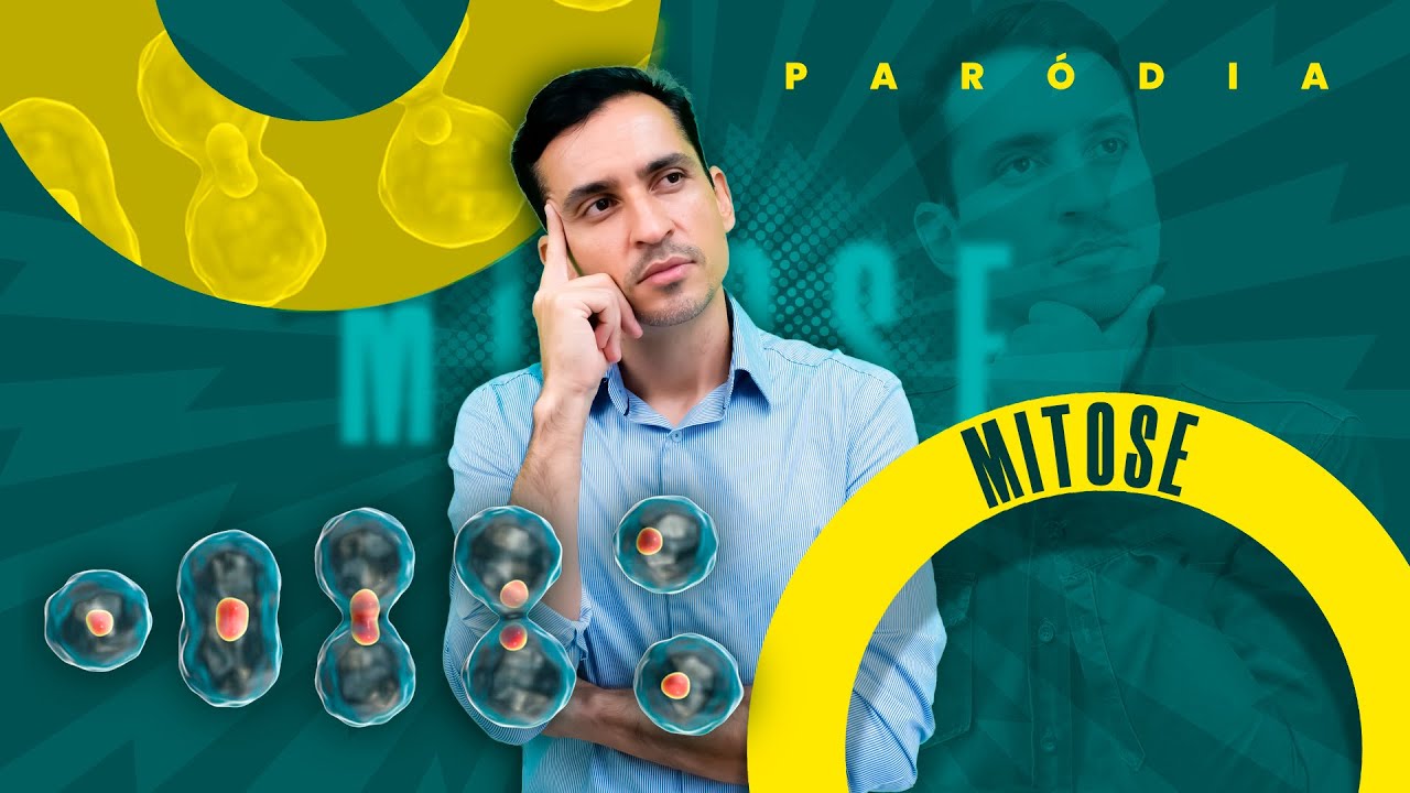 Paródia Mitose Youtube