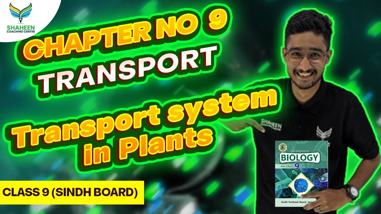 Transport System In Plants Passive Active Transport Class 9th Biology