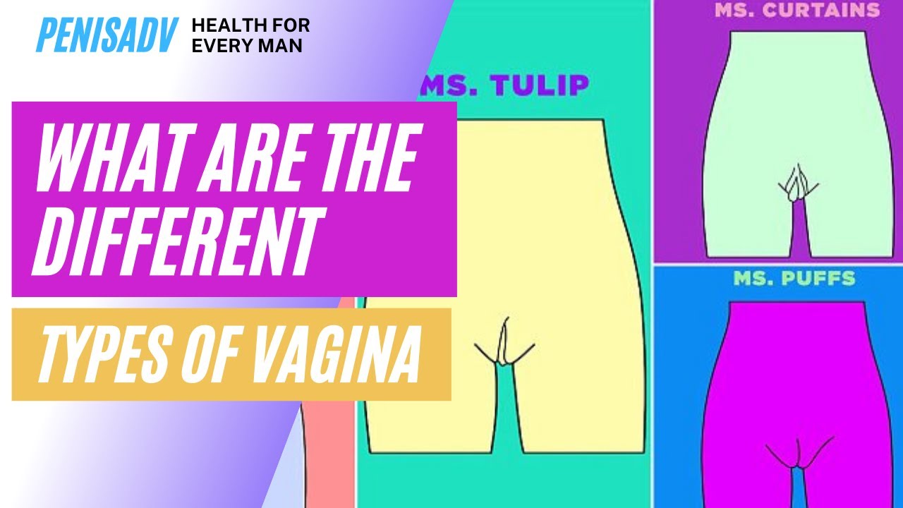 What Are The Different Types Of Vagina Youtube